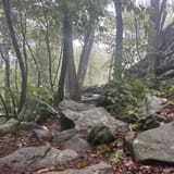 Peters Mountain Ridge via Appalachian Trail, Pennsylvania - 1,583 ...