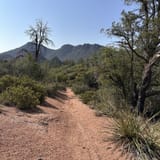 Cypress Trail to Boulders Loop, Arizona - 1,529 Reviews, Map | AllTrails