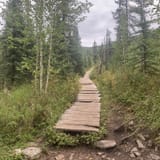 Angel Rocks Trail, Alaska - 827 Reviews, Map | AllTrails