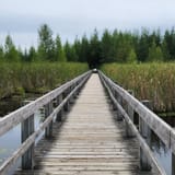 Mer Bleue Bog Trail, Ontario, Canada - 486 Reviews, Map | AllTrails