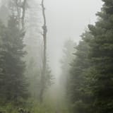 Cheyenne Mountain via Talon and Dixon Trail, Colorado - 819 Reviews ...