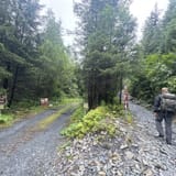 Tonsina Creek Trail, Alaska - 1,740 Reviews, Map | AllTrails
