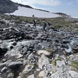 Muir Snowfield Ski Tour, Washington - 1,607 Reviews, Map | AllTrails