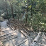 Cedar Ridge Outer Loop, Texas - 2,457 Reviews, Map | AllTrails