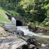Five Mile Trail, New York - 1,550 Reviews, Map | AllTrails