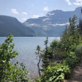 Cameron Lake Trail, Alberta, Canada - 396 Reviews, Map | AllTrails