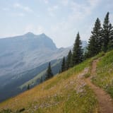 Wind Ridge Trail, Alberta, Canada - 1,332 Reviews, Map | AllTrails