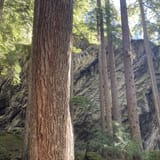 Lake Constance Trail, Washington - 227 Reviews, Map | AllTrails