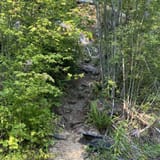 Lake Constance Trail, Washington - 227 Reviews, Map | AllTrails