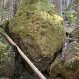 Lake Constance Trail, Washington - 227 Reviews, Map | AllTrails