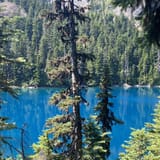 Lake Constance Trail, Washington - 227 Reviews, Map | AllTrails