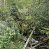 Lake Constance Trail, Washington - 227 Reviews, Map | AllTrails