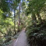 Fern Creek, Lost, and Canopy Trail Loop, California - 2,911 Reviews ...