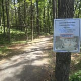 Quechee Gorge Trail, Vermont - 1,088 Reviews, Map | AllTrails