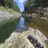 Quechee Gorge Trail, Vermont - 1,081 Reviews, Map | AllTrails