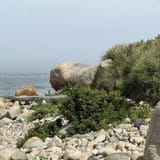 Napatree Point Conservation Area Trail, Rhode Island - 807 Reviews, Map ...