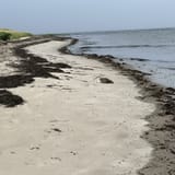 Napatree Point Conservation Area Trail, Rhode Island - 807 Reviews, Map ...