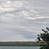 Joyce Estate Trail, Minnesota - 35 Reviews, Map | AllTrails