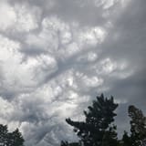 Joyce Estate Trail, Minnesota - 35 Reviews, Map | AllTrails