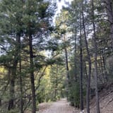 Old Cloudcroft Highway Trail Loop, New Mexico - 1,146 Reviews, Map ...
