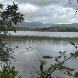 Lough Eske Nature Loop, County Donegal, Ireland - 130 Reviews, Map ...