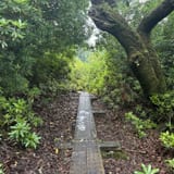 Lough Eske Nature Loop, County Donegal, Ireland - 130 Reviews, Map ...