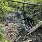 Mima Falls East Trail, Washington - 2,035 Reviews, Map | AllTrails