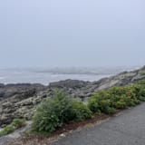 Marginal Way, Maine - 1,744 Reviews, Map | AllTrails