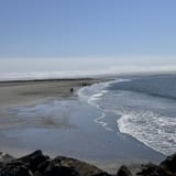 Damon Point State Park Trail, Washington - 513 Reviews, Map | AllTrails