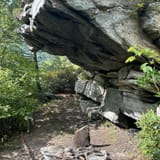 Babel Tower Trail (240), North Carolina - 1,035 Reviews, Map | AllTrails