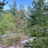 Babel Tower Trail (240), North Carolina - 1,035 Reviews, Map | AllTrails