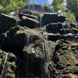 Yellow Branch Falls Trail, South Carolina - 2,951 Reviews, Map | AllTrails
