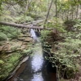 Fiery Gizzard Loop, Tennessee - 1,308 Reviews, Map | AllTrails