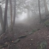 Mount Tremper Trail, New York - 1,666 Reviews, Map | AllTrails