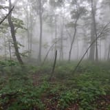 Mount Tremper Trail, New York - 1,666 Reviews, Map | AllTrails
