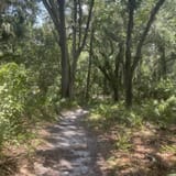 Econlockhatchee River Trail, Florida - 449 Reviews, Map | AllTrails