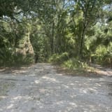 Econlockhatchee River Trail, Florida - 449 Reviews, Map | AllTrails