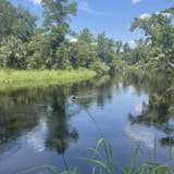Econlockhatchee River Trail, Florida - 449 Reviews, Map | AllTrails