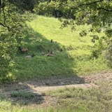 White Bison Loop, Missouri - 2,574 Reviews, Map | AllTrails