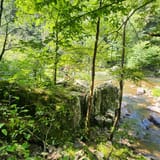 Laurel River Trail, North Carolina - 1,680 Reviews, Map | AllTrails
