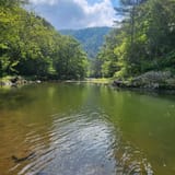 Laurel River Trail, North Carolina - 1,680 Reviews, Map | AllTrails