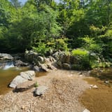 Laurel River Trail, North Carolina - 1,680 Reviews, Map | AllTrails