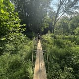 Whispering Cave - Cedar Falls Loop, Ohio - 932 Reviews, Map | AllTrails