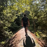 Moxham Mountain Trail, New York - 1,600 Reviews, Map | AllTrails