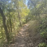 Memory Grove Trail, Utah - 1,366 Reviews, Map | AllTrails