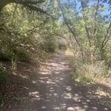 Memory Grove Trail, Utah - 1,368 Reviews, Map | AllTrails