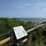 Sconset Bluff Path, Massachusetts - 311 Reviews, Map | AllTrails