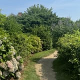 Sconset Bluff Path, Massachusetts - 315 Reviews, Map | AllTrails