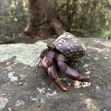 Magens Bay Beach Trail, Saint Thomas, US Virgin Islands - 349 Reviews ...