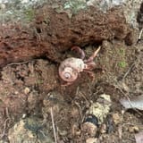 Magens Bay Beach Trail, Saint Thomas, US Virgin Islands - 349 Reviews ...